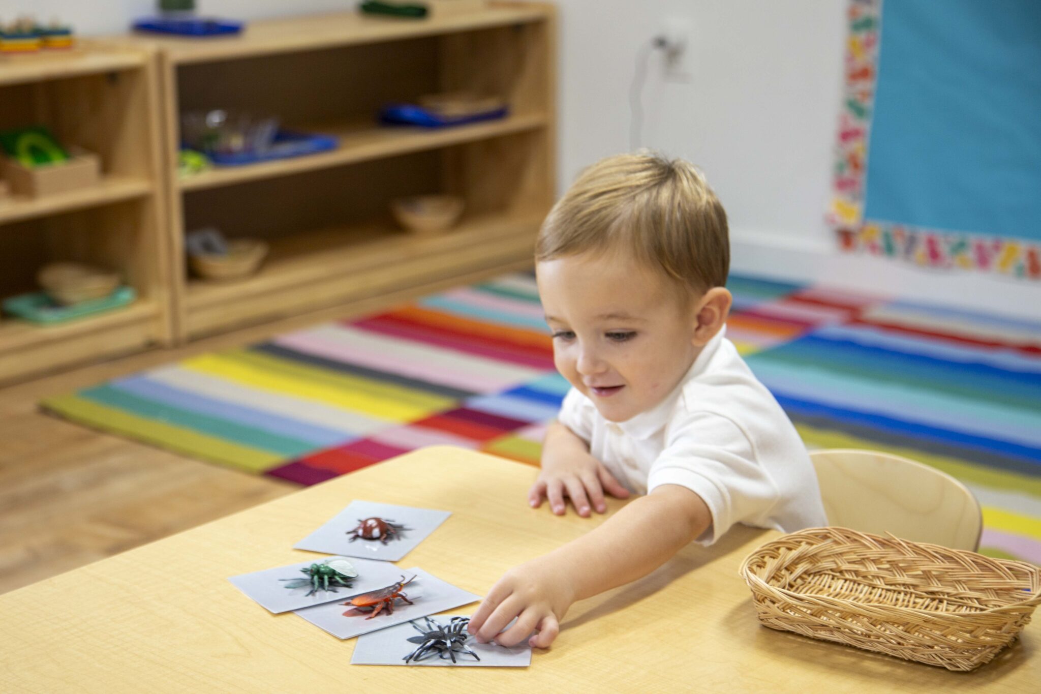 Classes – The Learning Nest